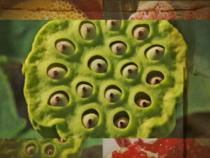 Trypophobia: The awful and incurable fear of tiny clusters of holes