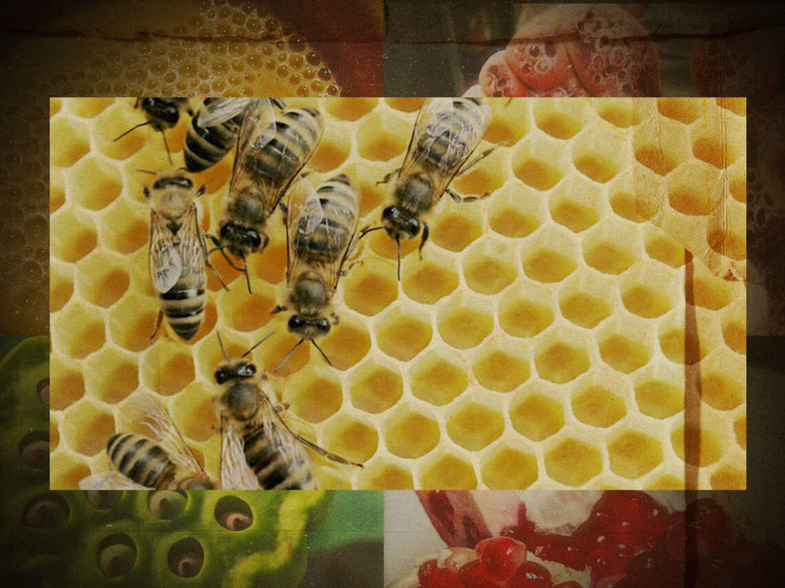 Trypophobia: The awful and incurable fear of tiny clusters of holes