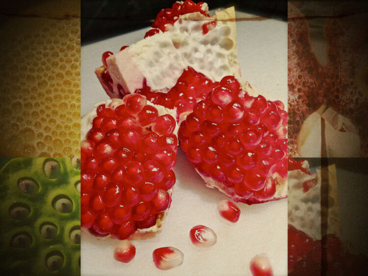 Trypophobia: The awful and incurable fear of tiny clusters of holes