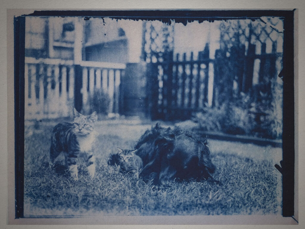 How a 120-year-old photograph shows what we truly have in common