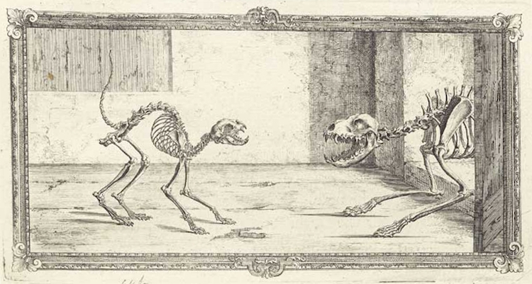 Skeletal remains: The first accurate representation of ‘The Anatomy of ...