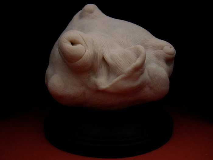 Meat: Strange, disturbing and grotesque sculptures of flesh and bone