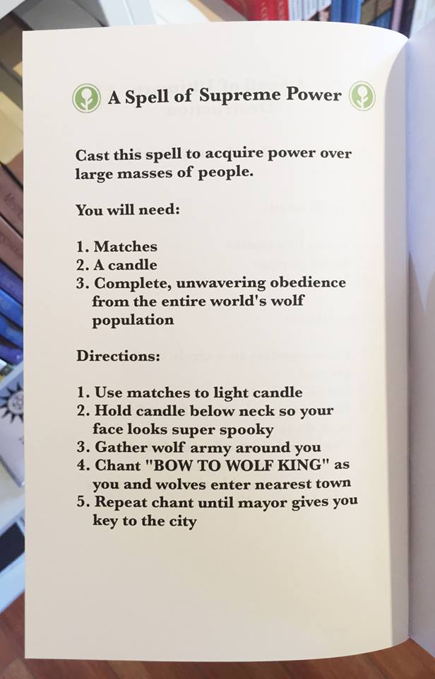 Prankster plants hilarious fake occult spell book at a metaphysical shop