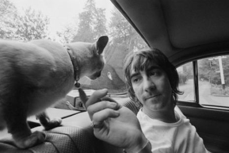 Rock stars with their cats and dogs