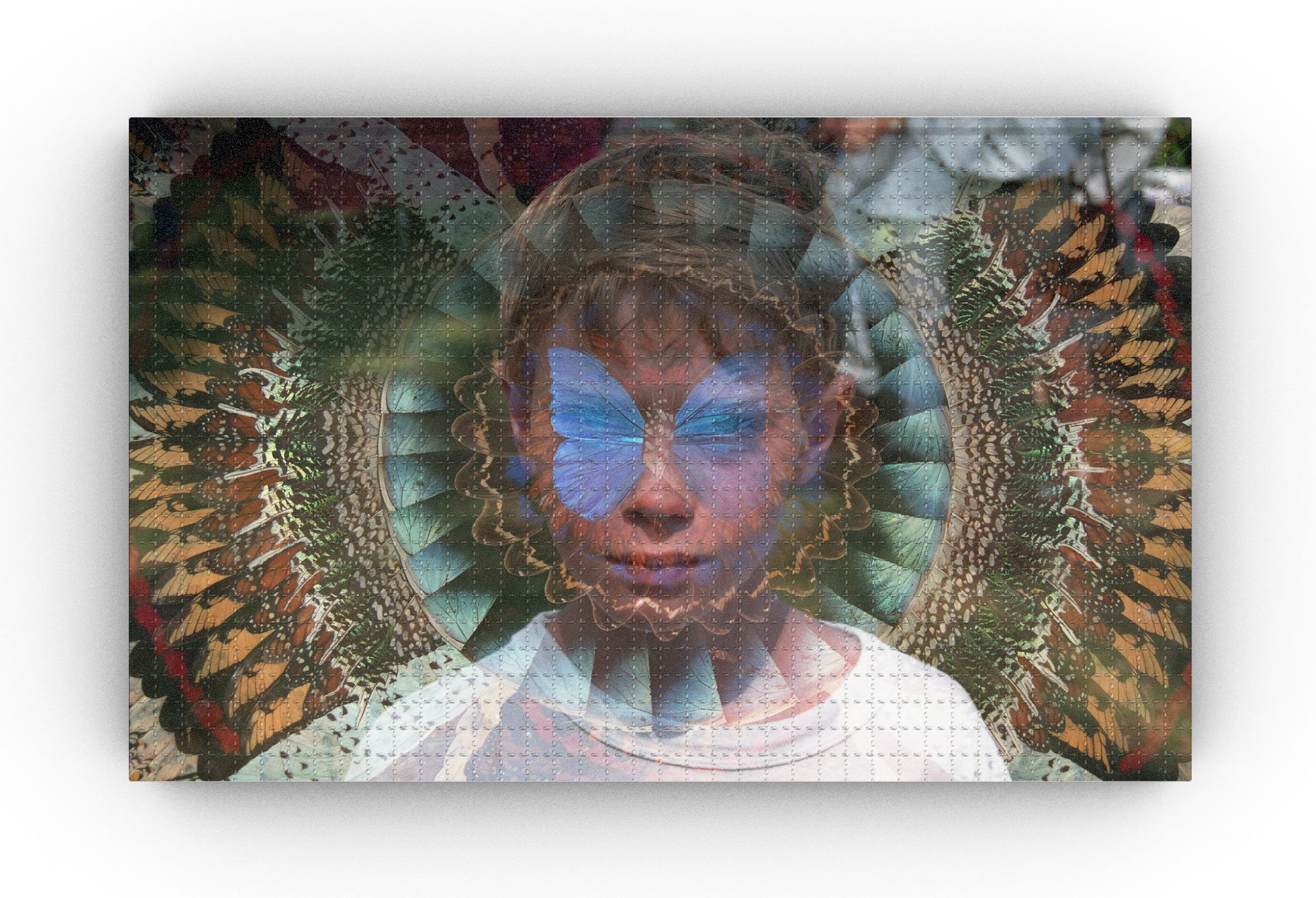 The Family Acid takes a psychedelic look at the Golden State in ...