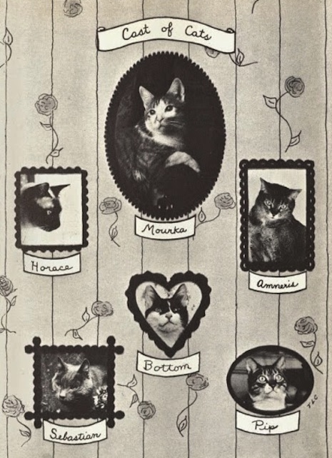 Mourka the dancing cat, pre-Internet trailblazer for today’s ...