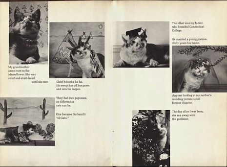 Mourka the dancing cat, pre-Internet trailblazer for today’s ...