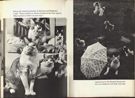 Mourka the dancing cat, pre-Internet trailblazer for today’s ...